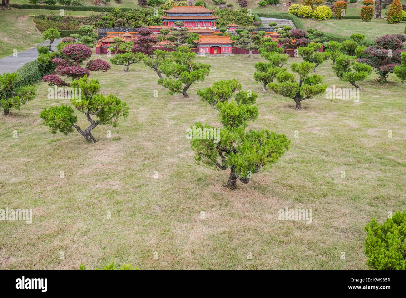 Miniature garden hi-res stock photography and images - Alamy