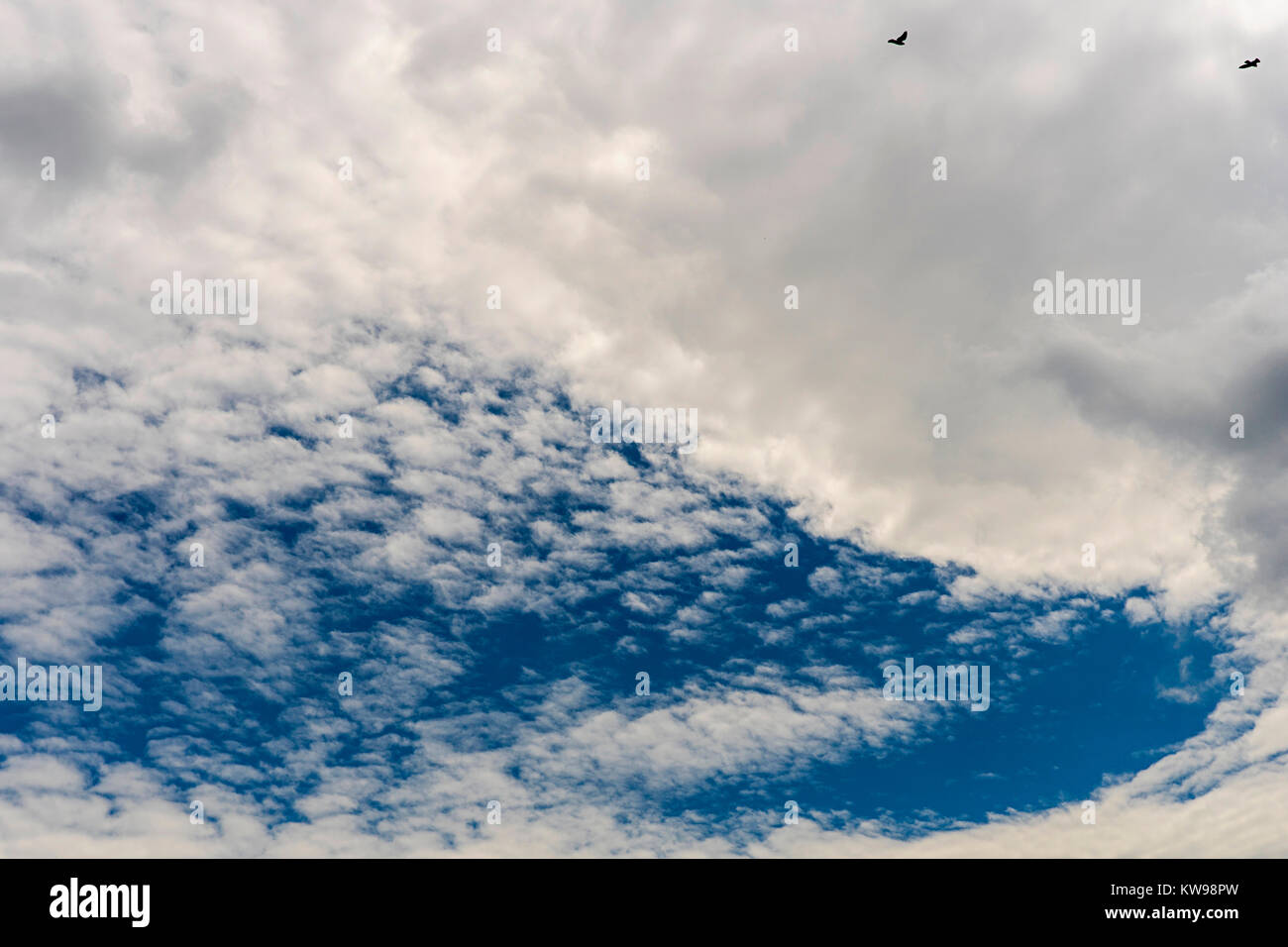 Bright weather with rain clouds hi-res stock photography and images - Alamy