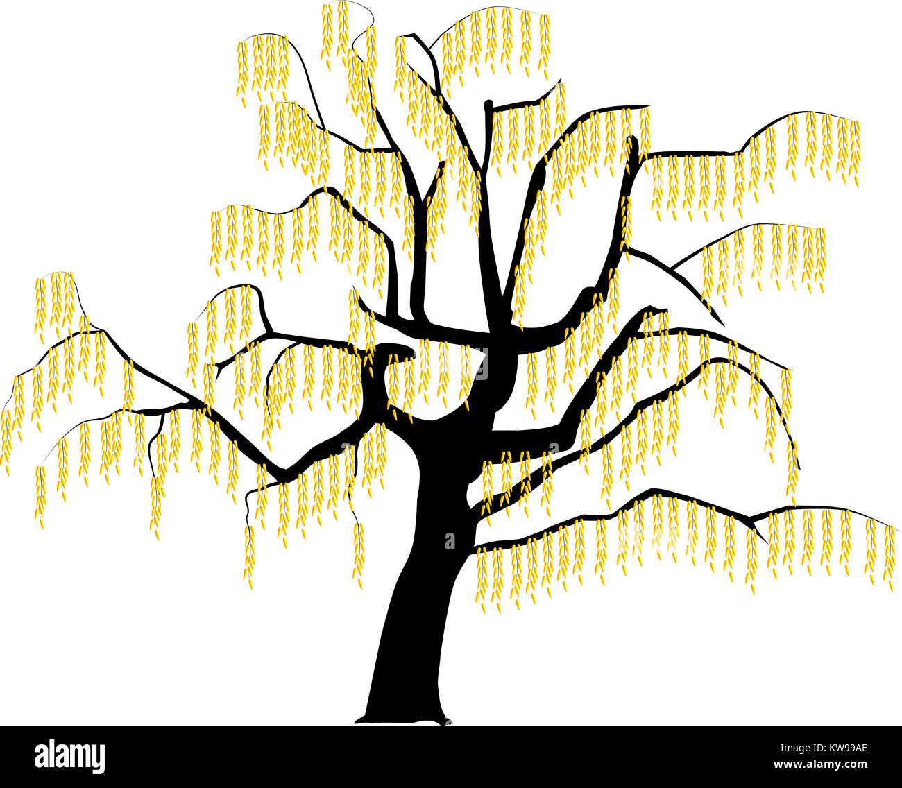 Yellow willow tree Stock Vector Images - Alamy