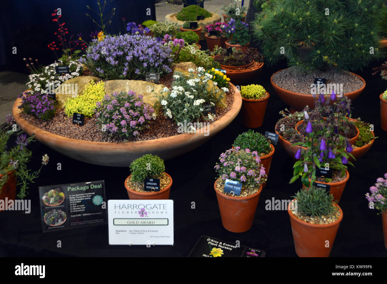 Prize winning flowers hi-res stock photography and images - Alamy