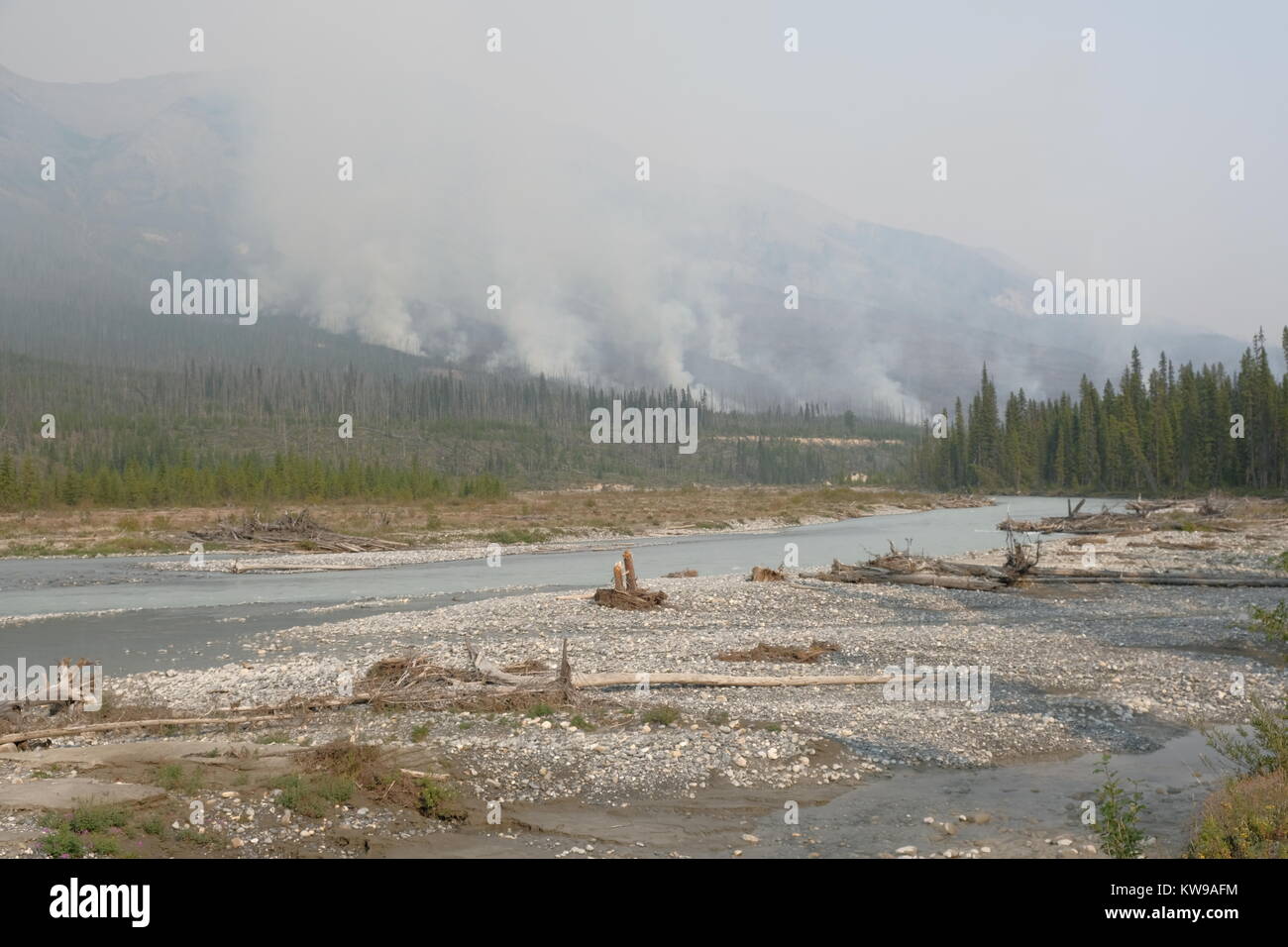 Forest fires burn in a river valley in western Canada during the summer ...