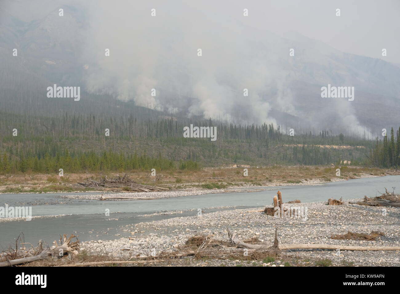 Western forest fires High Resolution Stock Photography and Images - Alamy