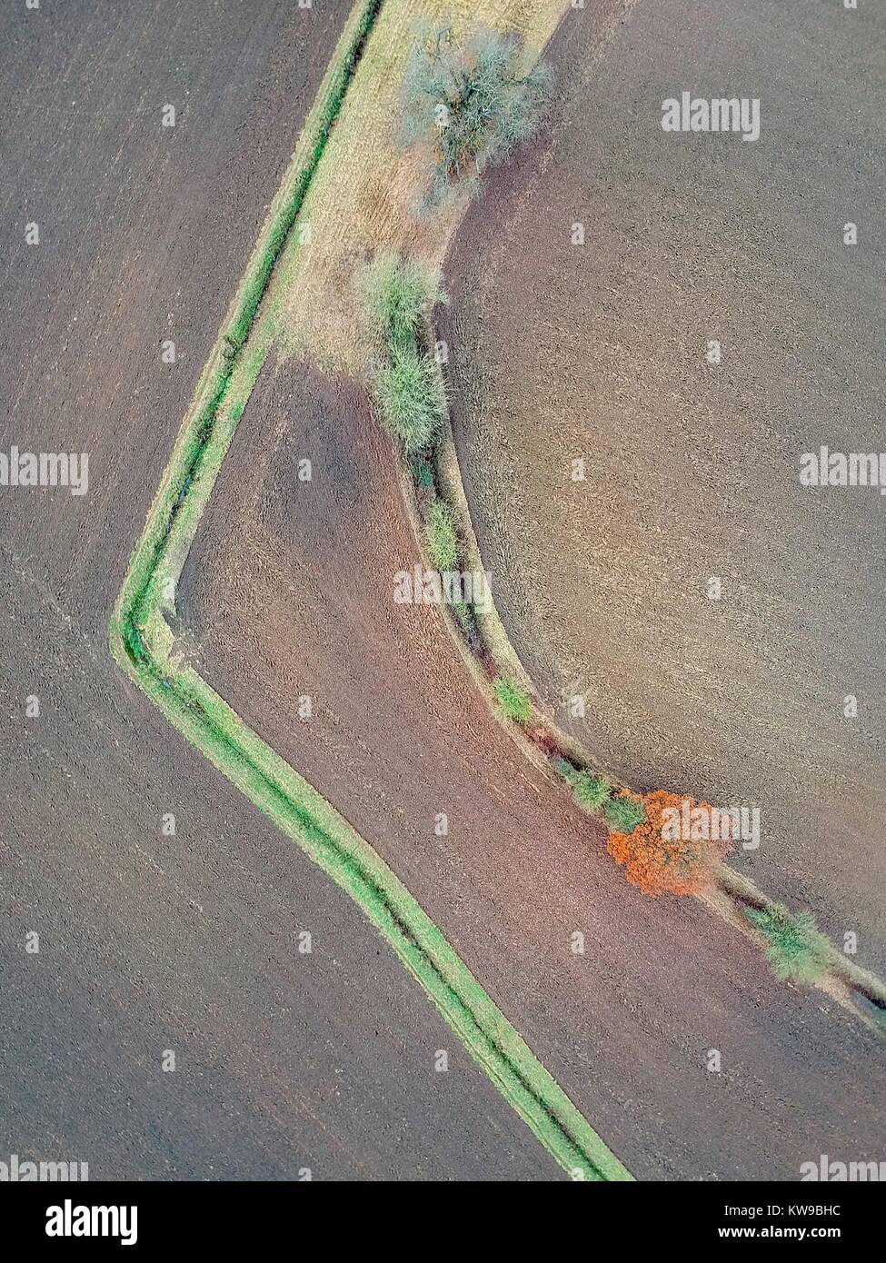 Beautiful canal between trees hi-res stock photography and images - Alamy