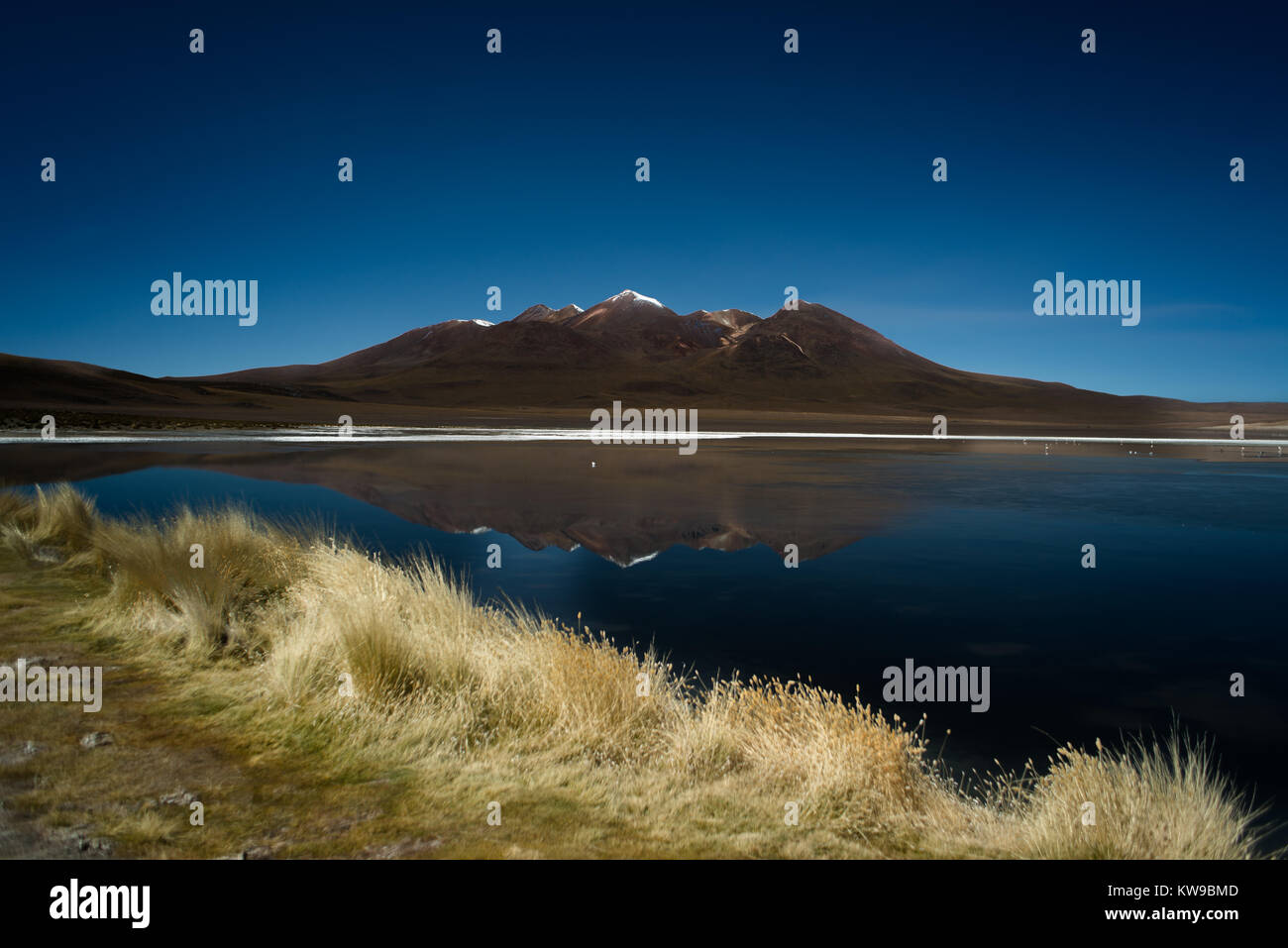 Green lagoon scenery during dessert crossing with a 4x4 car in Uyuni ...