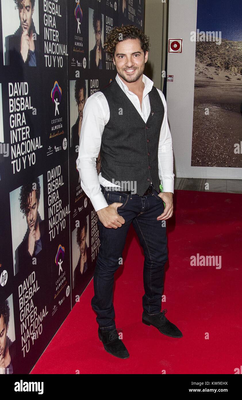 MADRID, SPAIN - JANUARY 23: Spanish singer David Bisbal presents his ...