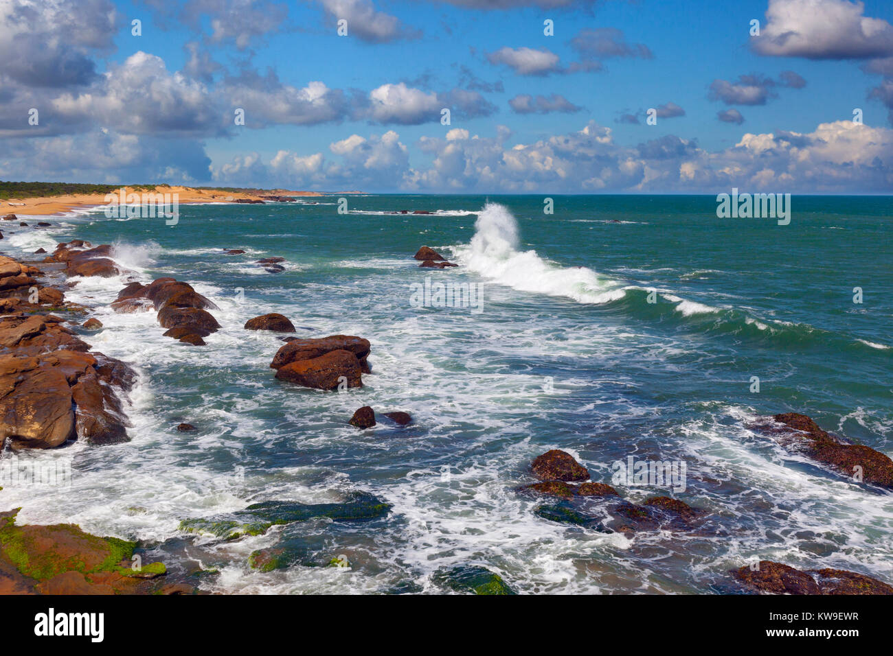 Yala national park beach hi-res stock photography and images - Alamy