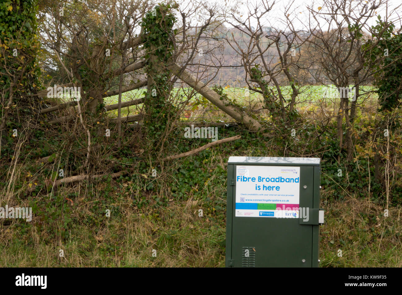Rural fibre hi-res stock photography and images - Alamy