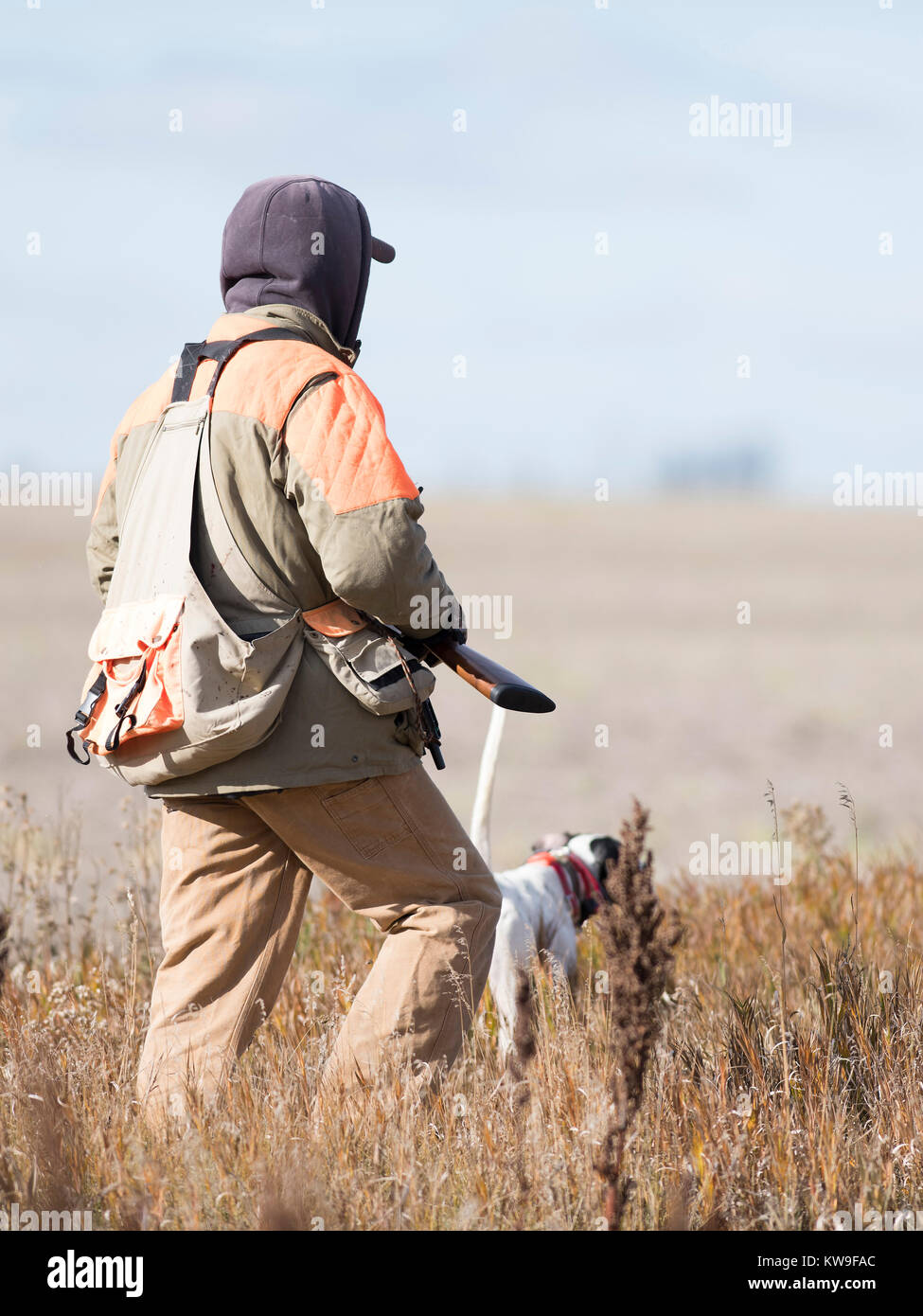 Pheasant Hunter in North Dakota Stock Photo - Alamy