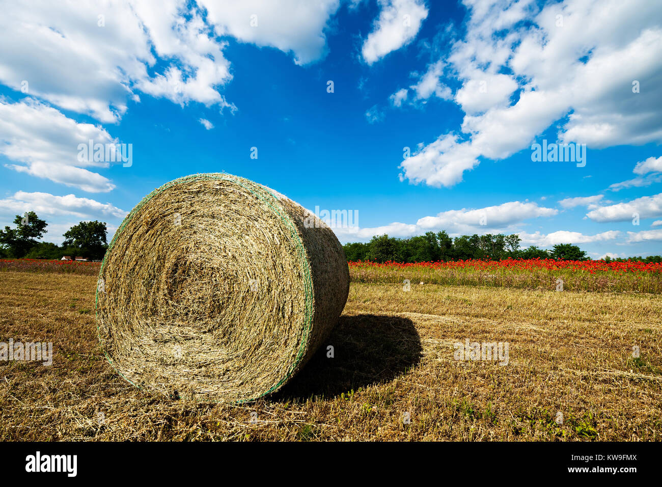 Green field hayrack hi-res stock photography and images - Alamy