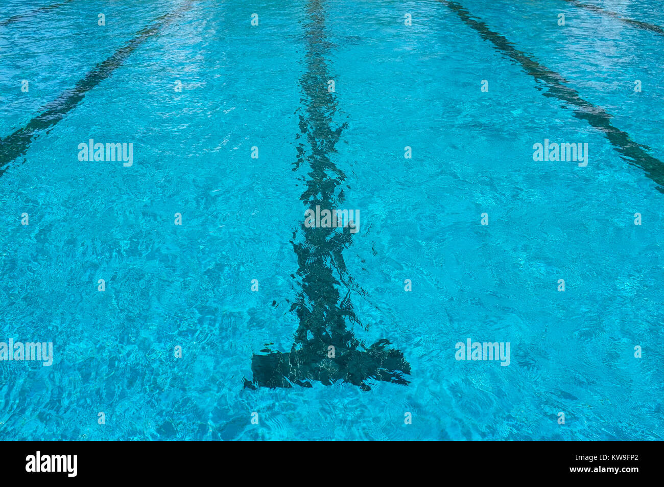 swimming lines in a swimming pool Stock Photo - Alamy