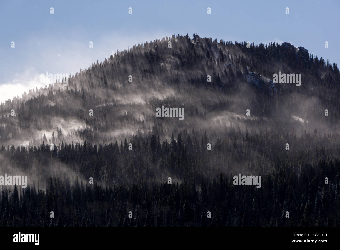 A windy morning near Hollowell Park, Estes Park, Colorado Stock Photo ...