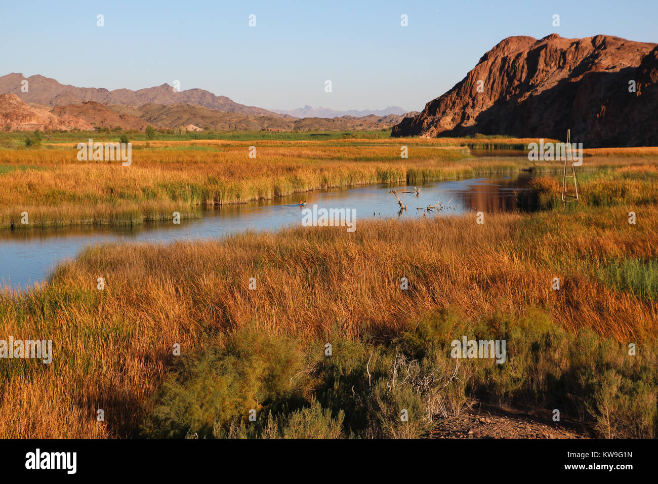 A lone kayak traverses a golden reed-lined channel in the marshes ...