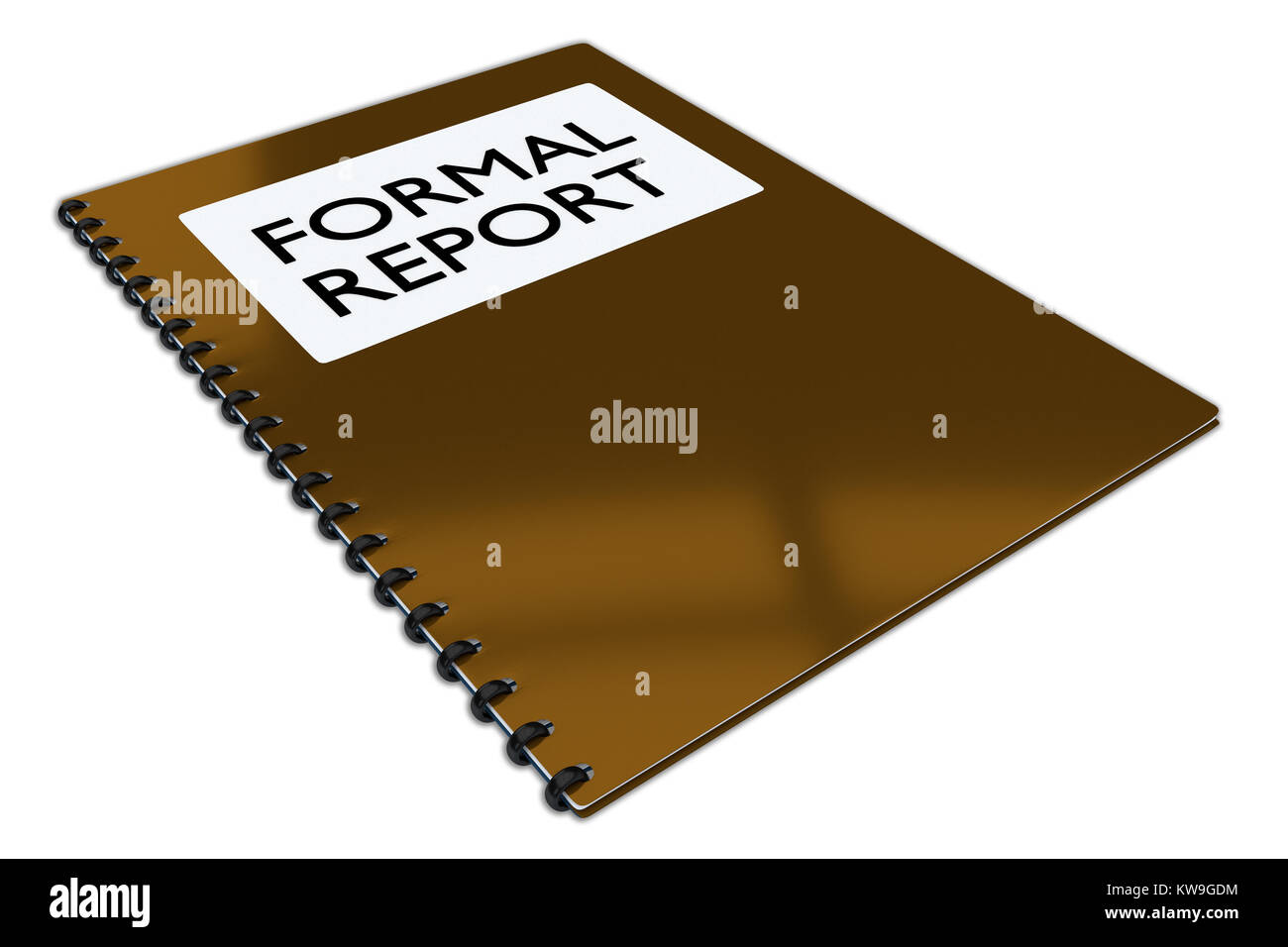 3D illustration of FORMAL REPORT script on a book, isolated on white ...
