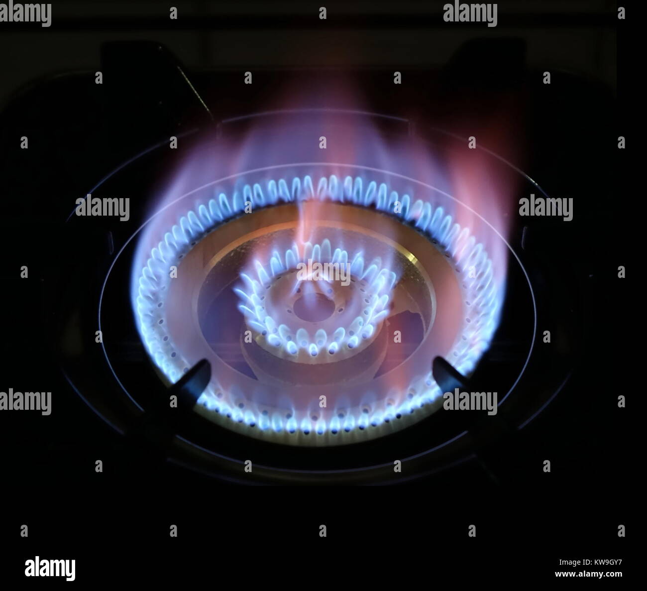 Blue flames from burning natural gas on a stove Stock Photo - Alamy