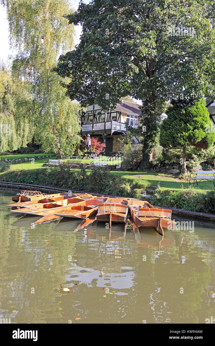 Rowing boats moored outside Bath Boat Station and Bathwick Boatman ...