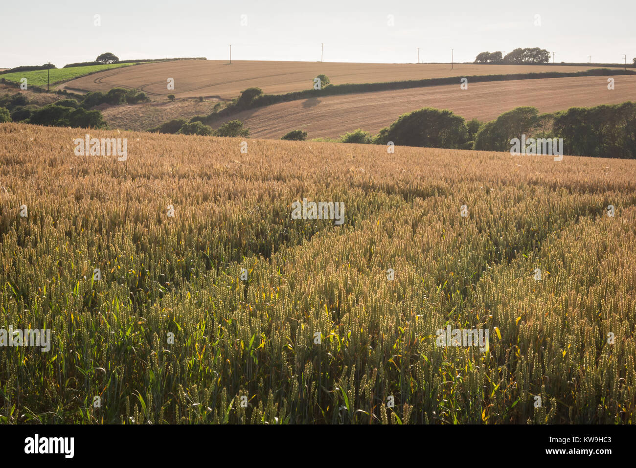 Agricultural soil tracks hi-res stock photography and images - Alamy
