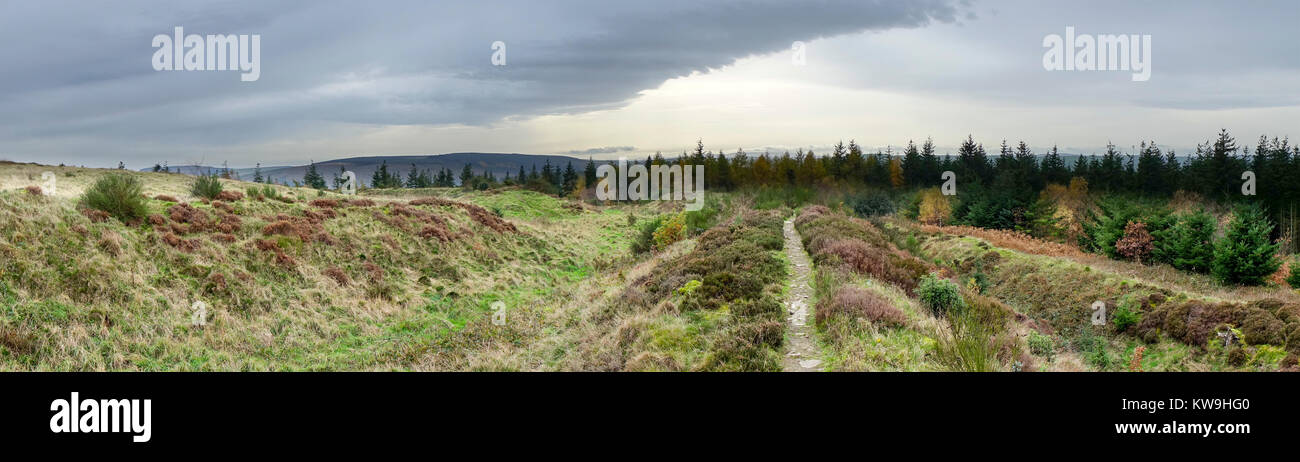 Bury Ditches Iron Age hill fort ditches and rampart banks as part of ...