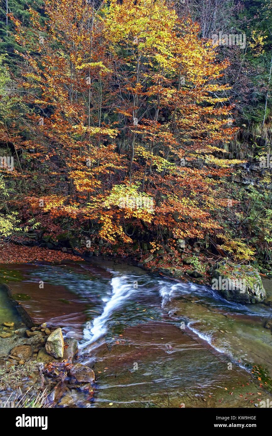 Poland, rzeka Biała Wiselka Stock Photo - Alamy