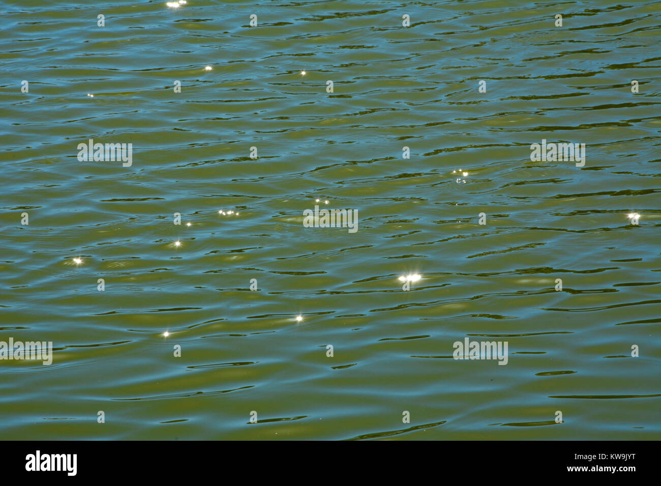 Sun rays reflecting star effect in water surface Stock Photo - Alamy