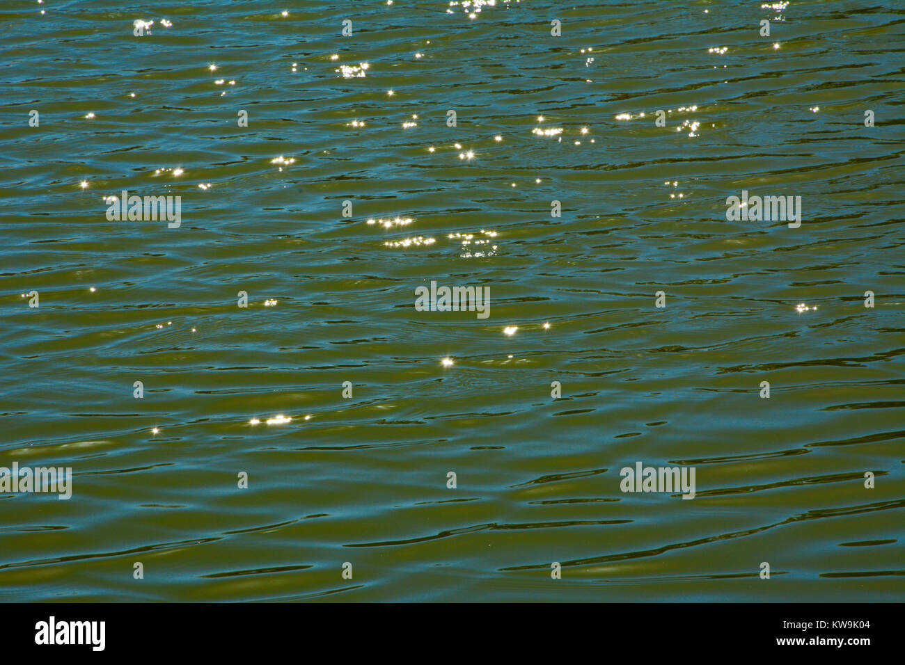 Sun rays reflecting star effect in water surface Stock Photo - Alamy
