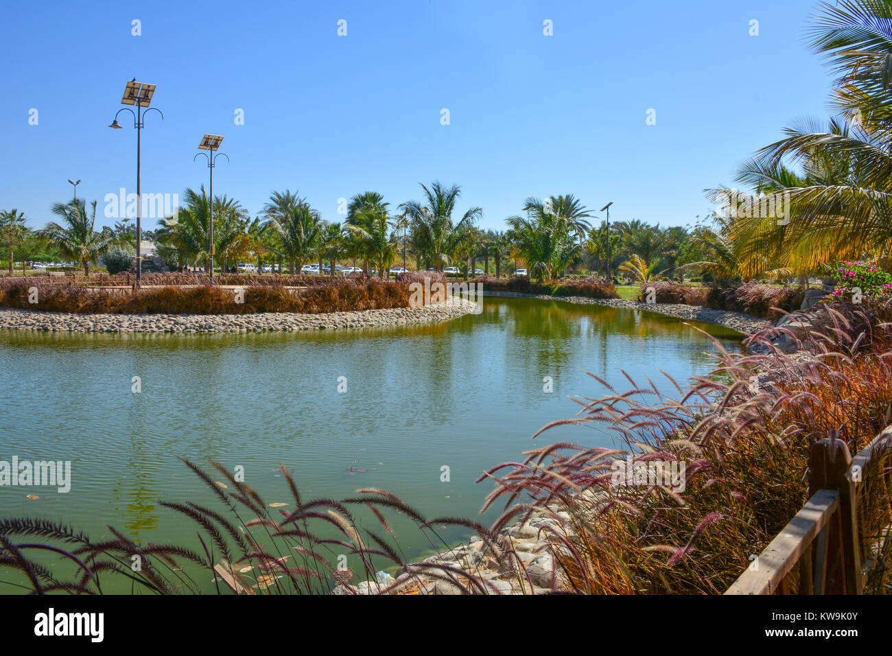 Lake park at Yanbu, Saudi arabia Stock Photo - Alamy