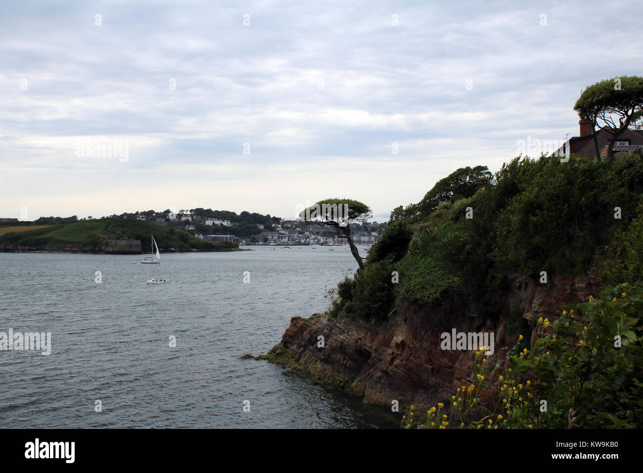 Contrast cliff nature tree hi-res stock photography and images - Alamy
