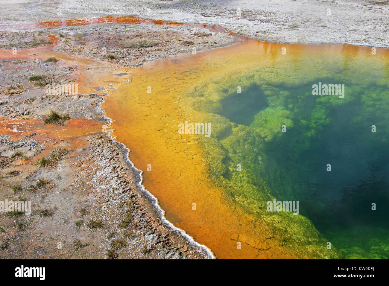 The famous Morning Glory Pool in Yellowstone National Park, USA Stock ...
