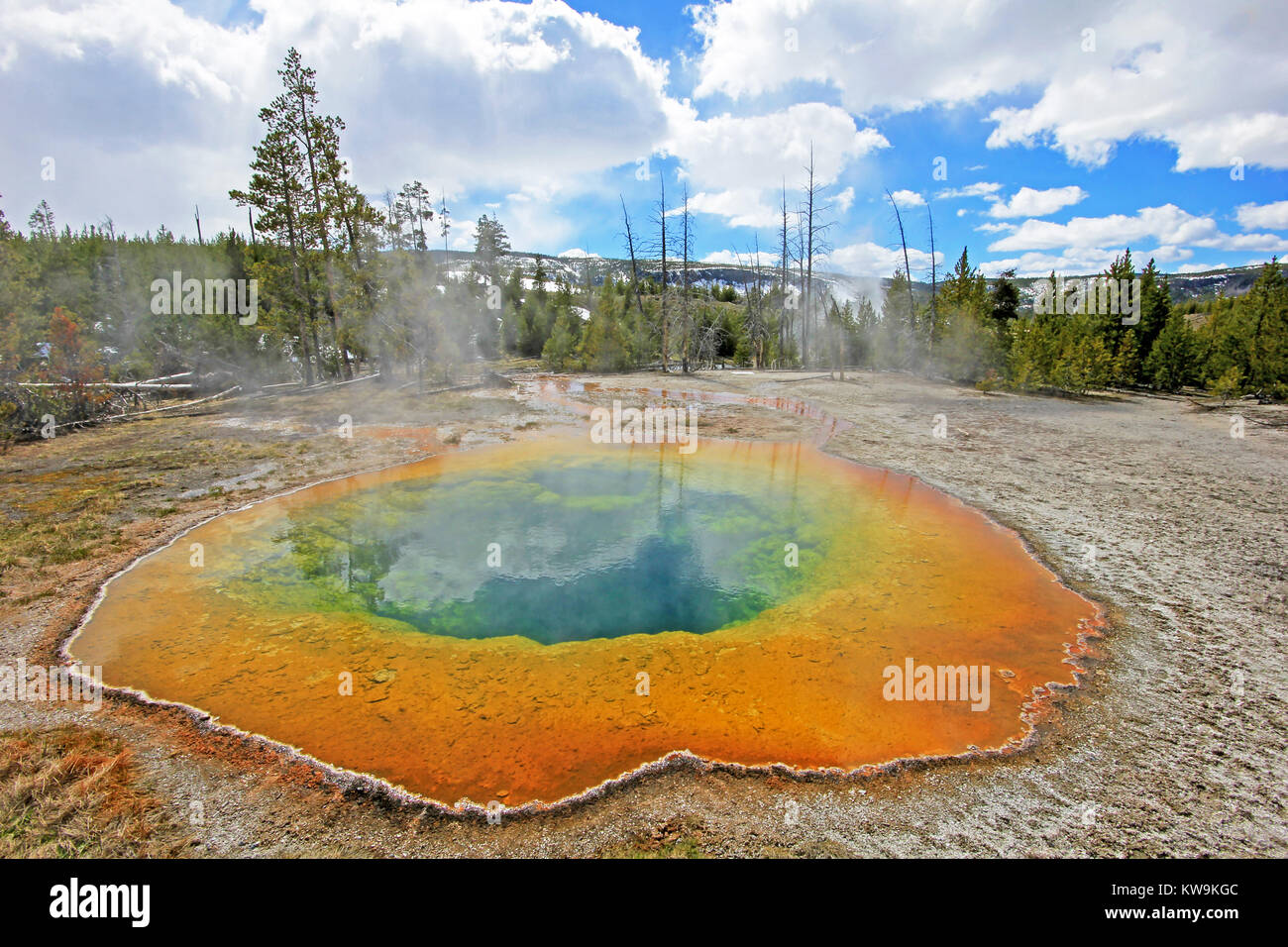 The famous Morning Glory Pool in Yellowstone National Park, USA Stock ...