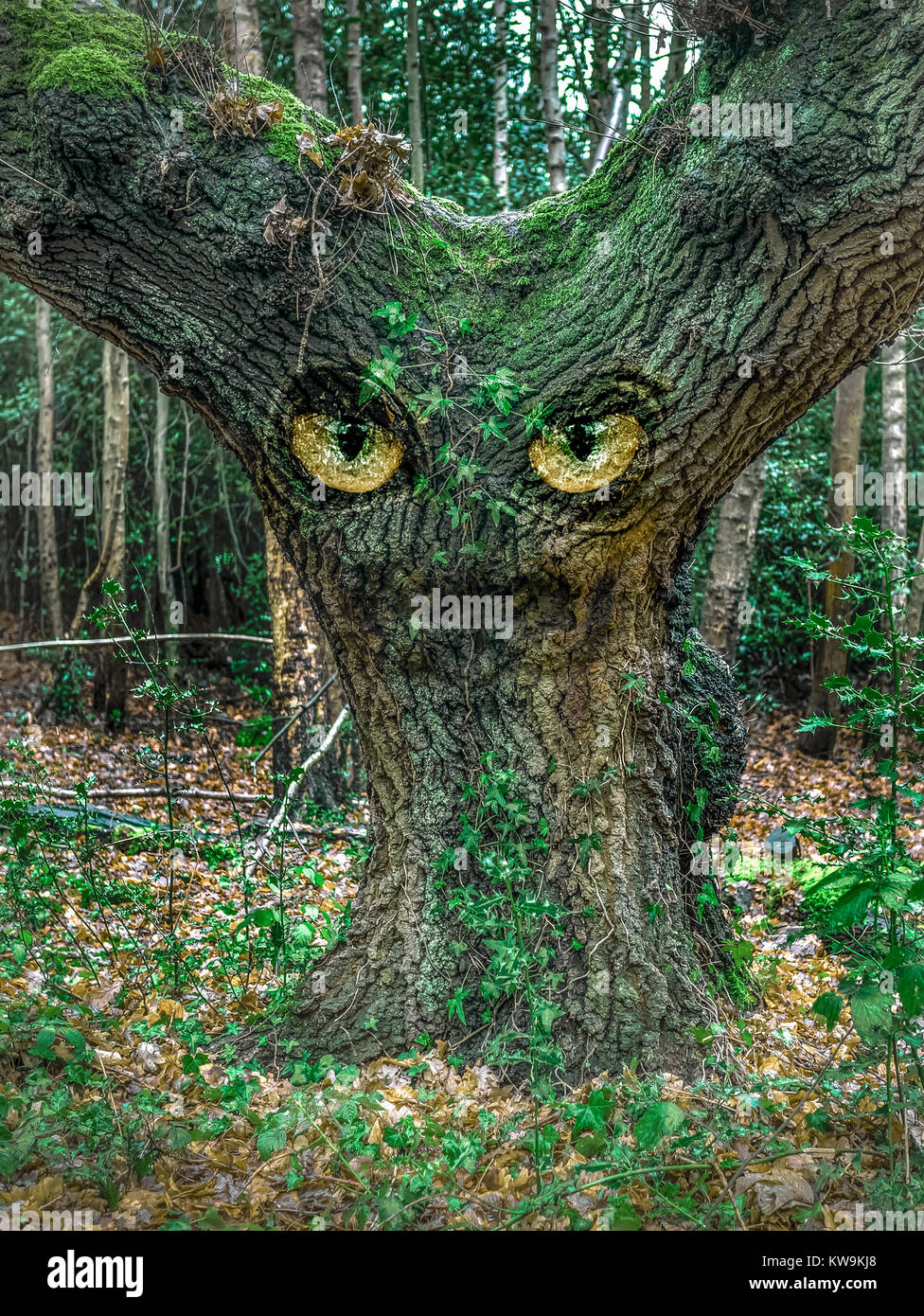 Tree demon hi-res stock photography and images - Alamy