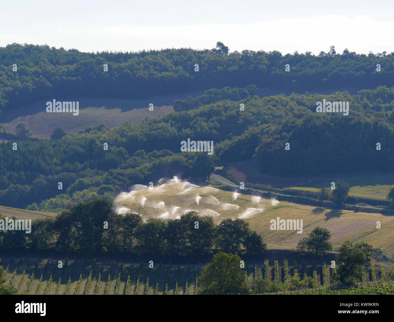 Crops being watered hi-res stock photography and images - Alamy