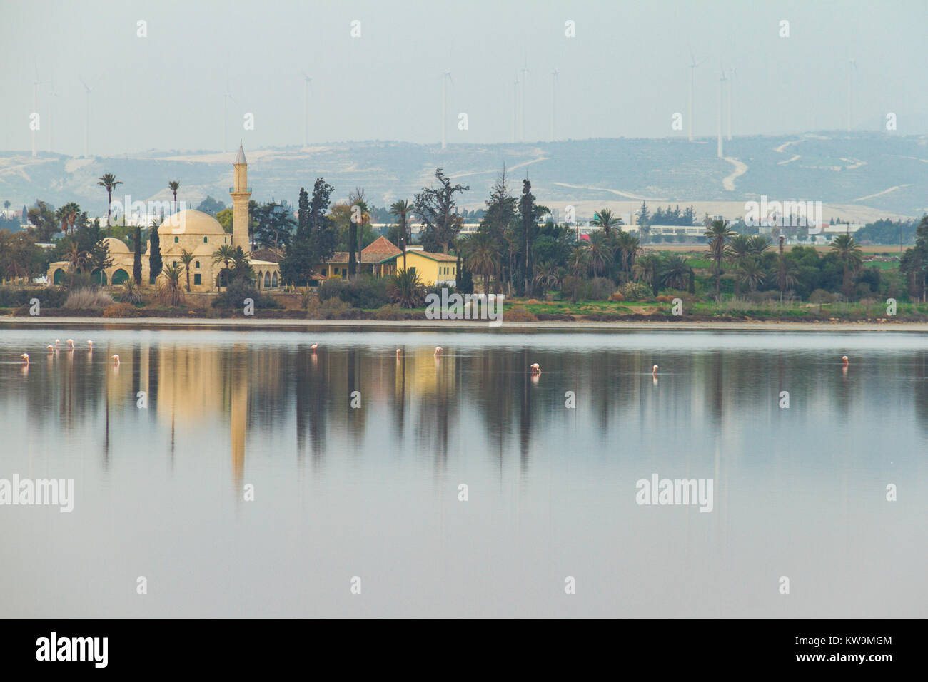 Hala Sultan Tekke on Larnaca salt lake with flamingo birds in the ...