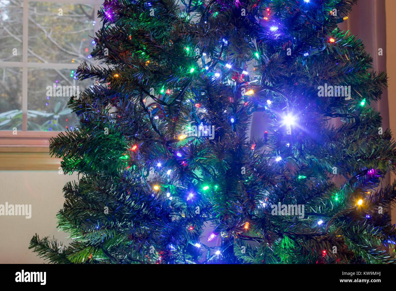 bright christmas tree in front of winter window Stock Photo - Alamy