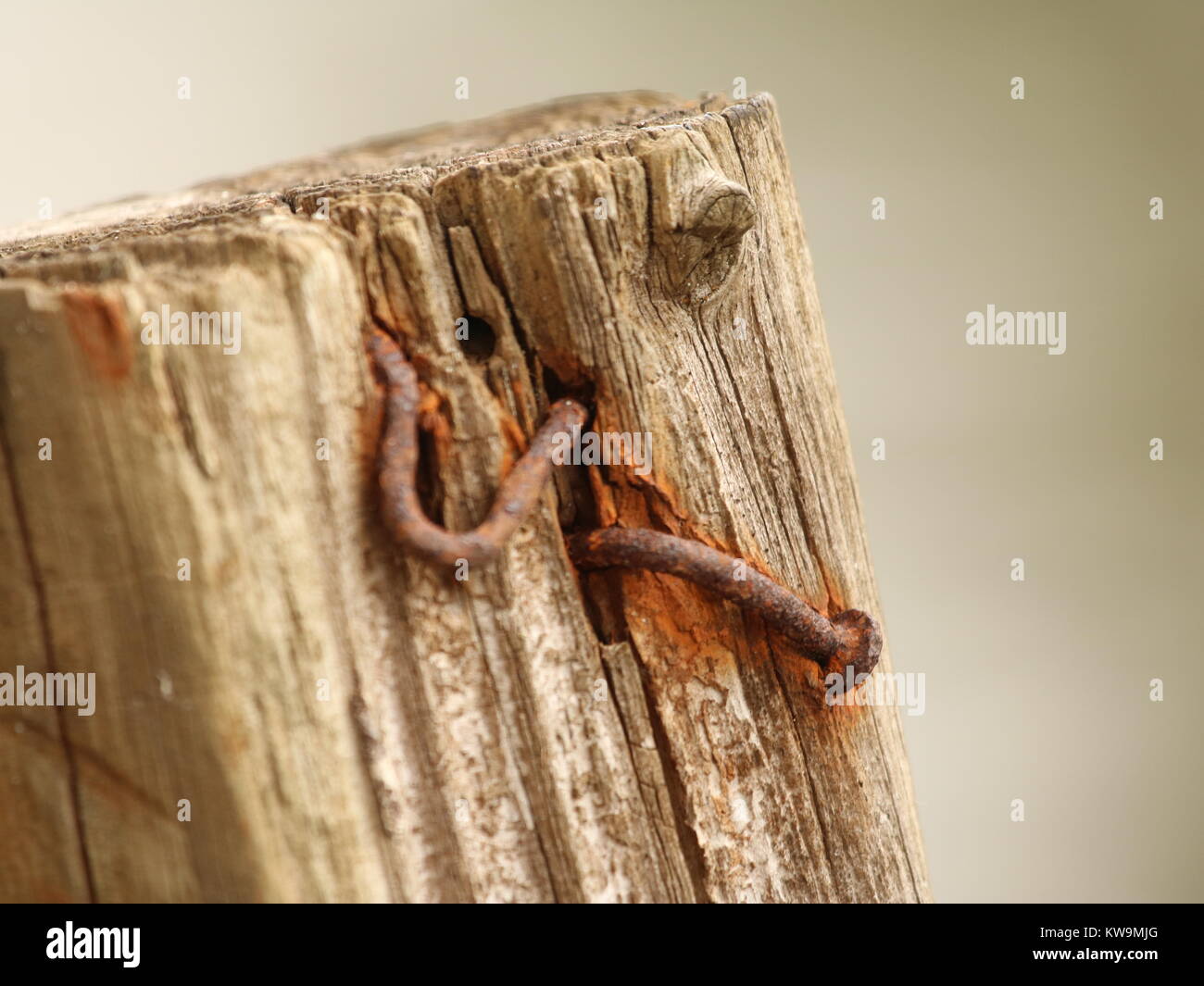 Rusty nails and wood texture hi-res stock photography and images - Alamy