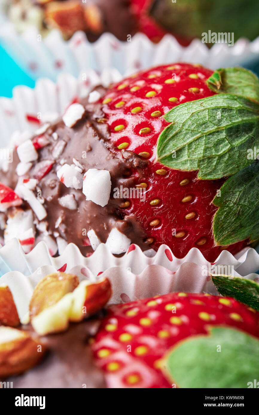 ripe strawberries dipped in chocolate with nuts and caramel on blue ...