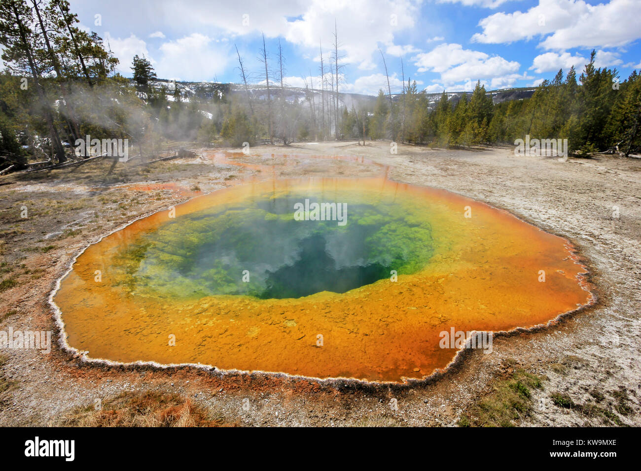 The famous Morning Glory Pool in Yellowstone National Park, USA Stock ...
