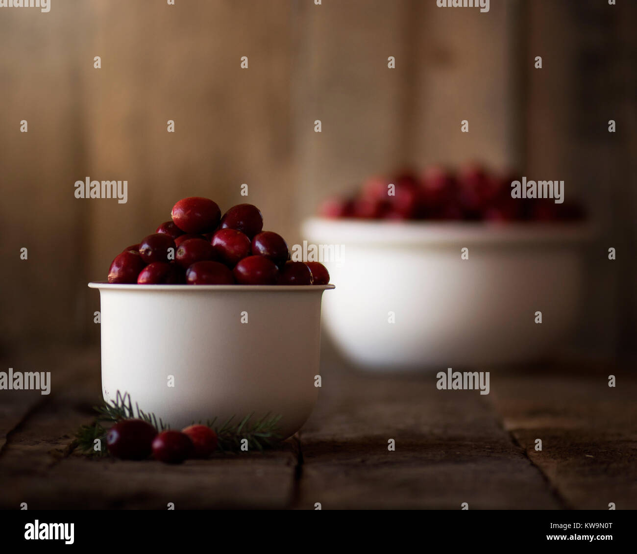 Pine needle food hi-res stock photography and images - Alamy