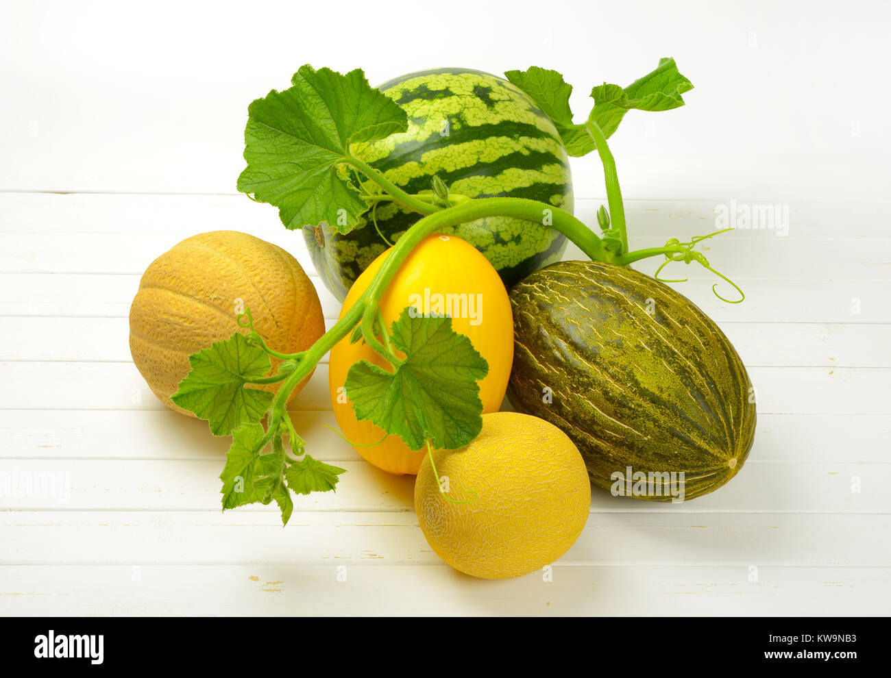 various types of melon on white wooden background Stock Photo - Alamy