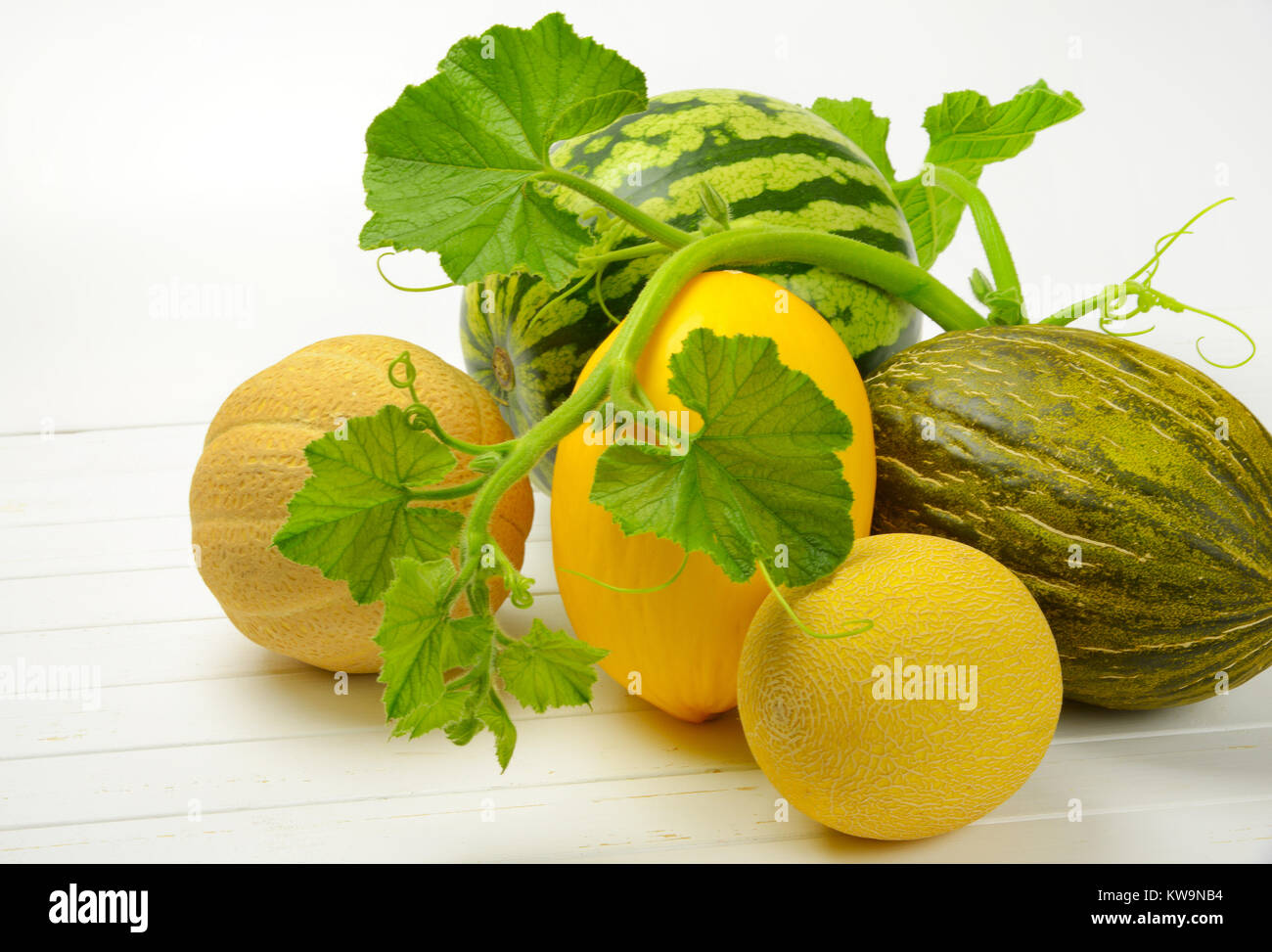 various types of melon on white wooden background Stock Photo - Alamy