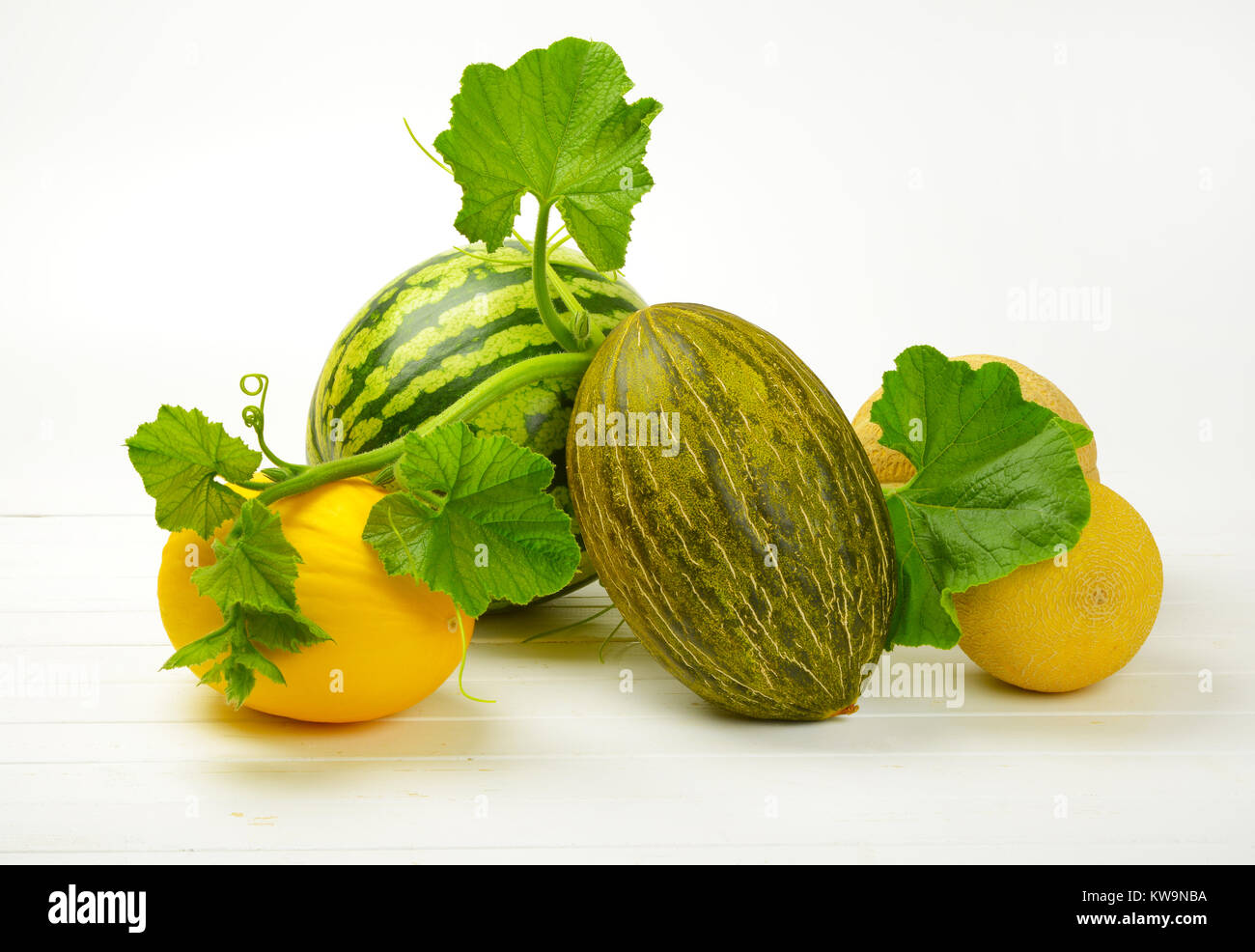 various types of melon on white wooden background Stock Photo - Alamy
