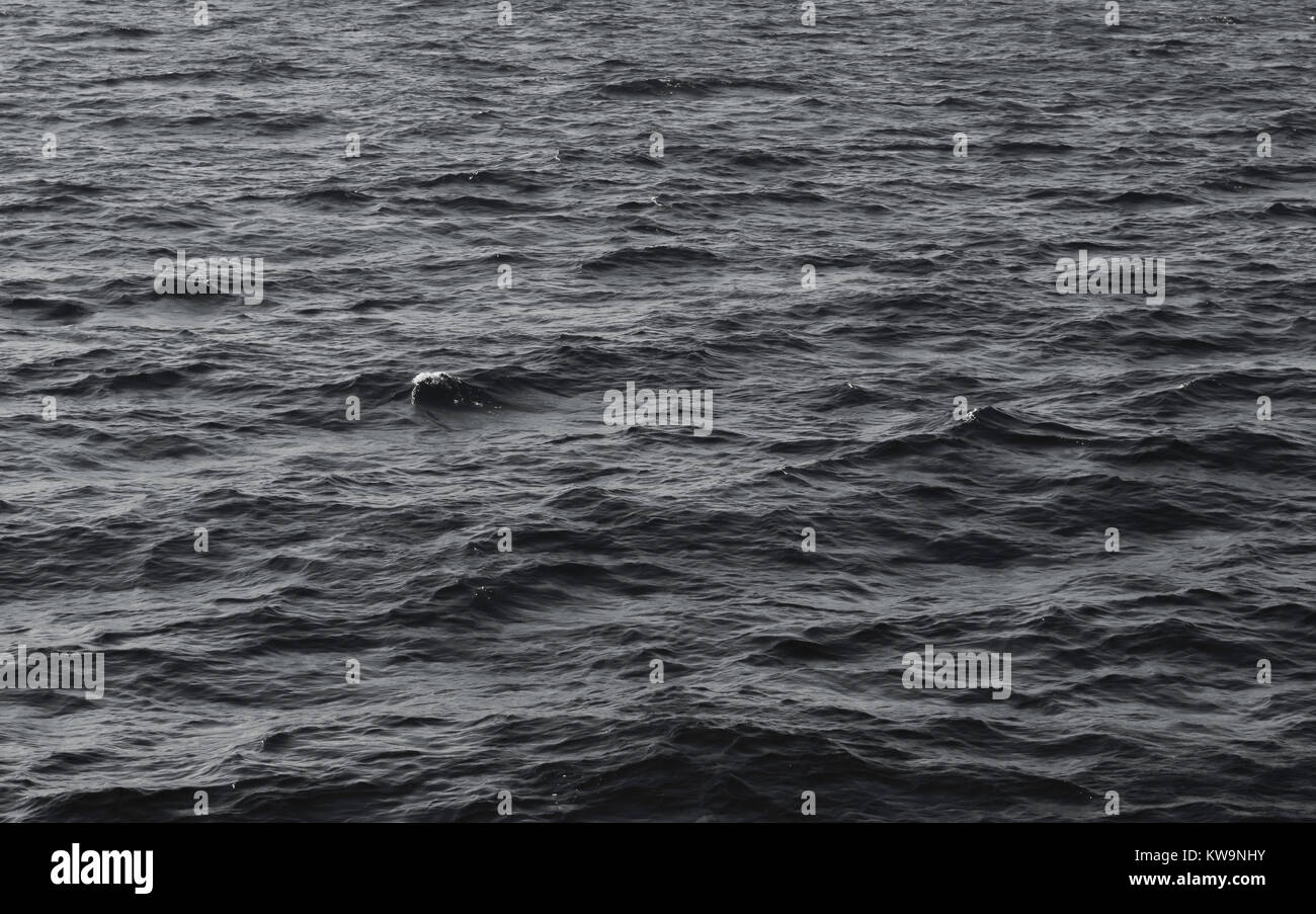 Sea black and white waves hi-res stock photography and images - Alamy