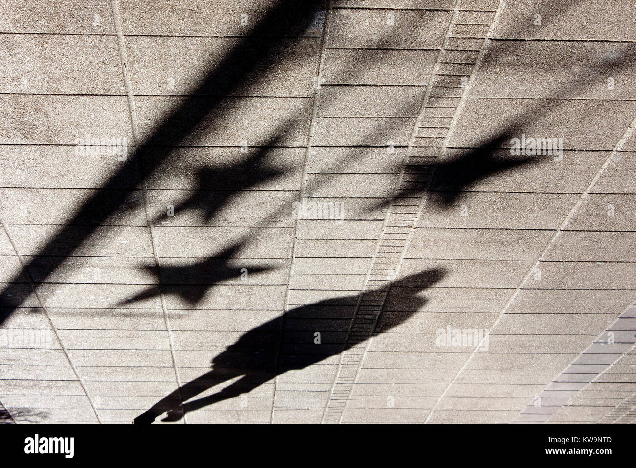 Shadow silhouette of a person under star shaped ornaments on city ...