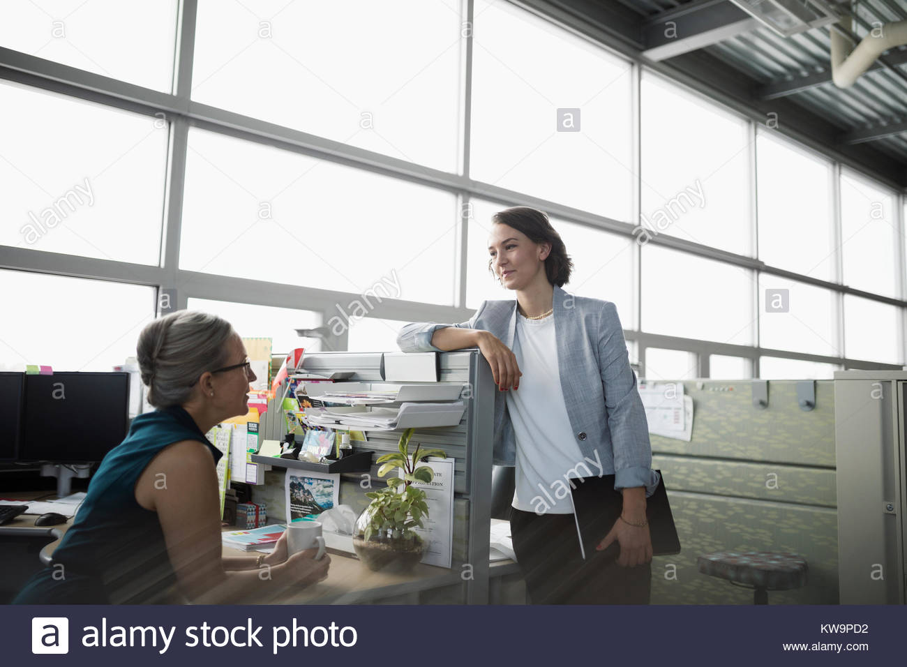 Businesswomen talking in office cubicles Stock Photo - Alamy