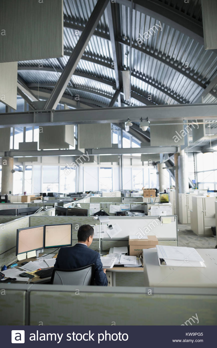 Businessman working,reviewing paperwork in cubicle in office cubicle Stock Photo - Alamy