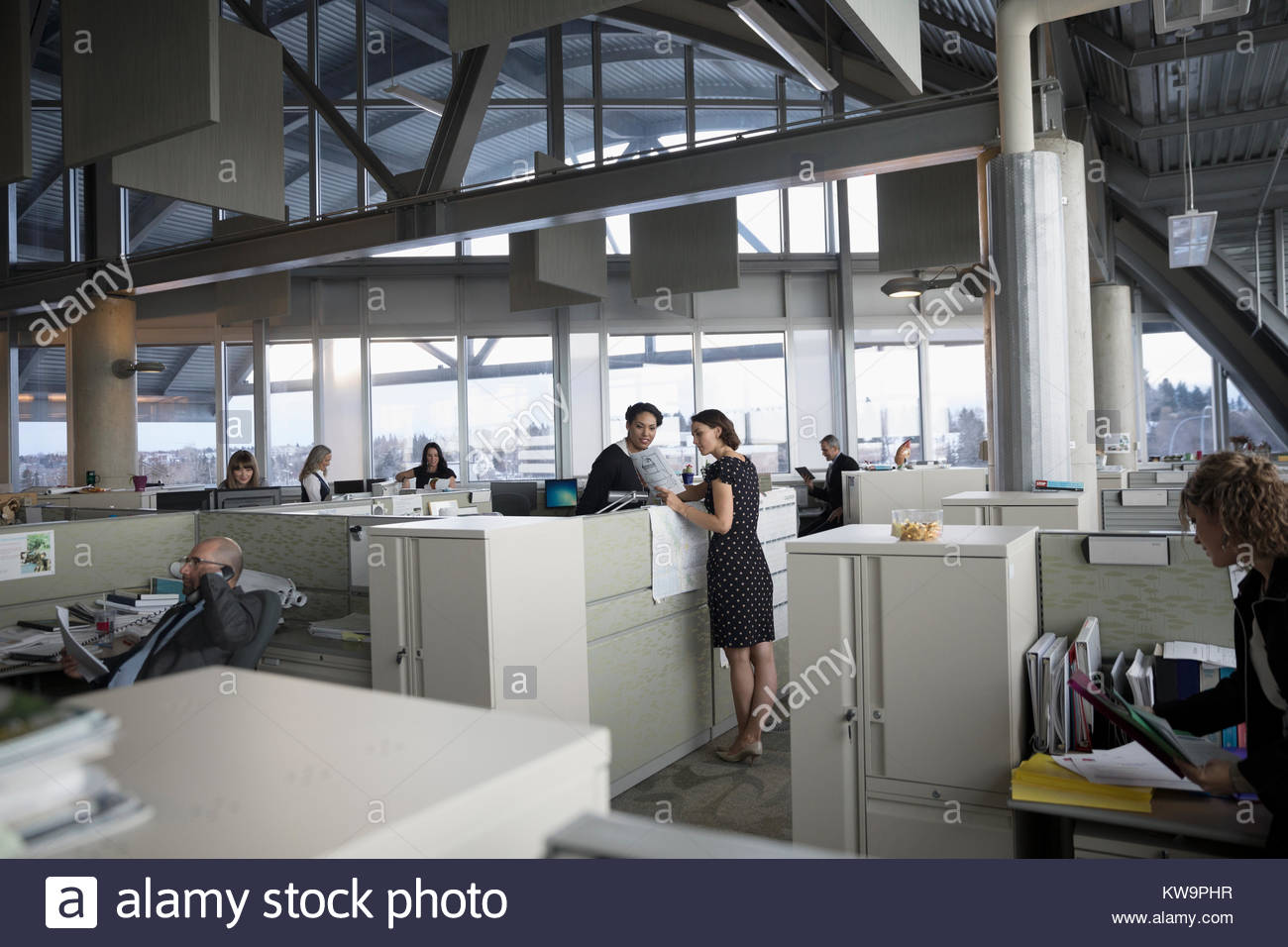 Business people talking and working in cubicles in open plan office ...
