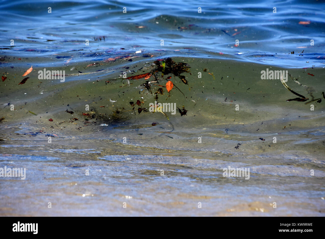 Rubbish in Shore waves Stock Photo - Alamy