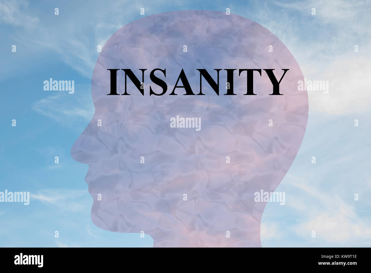 Render illustration of INSANITY title on head silhouette, with cloudy ...