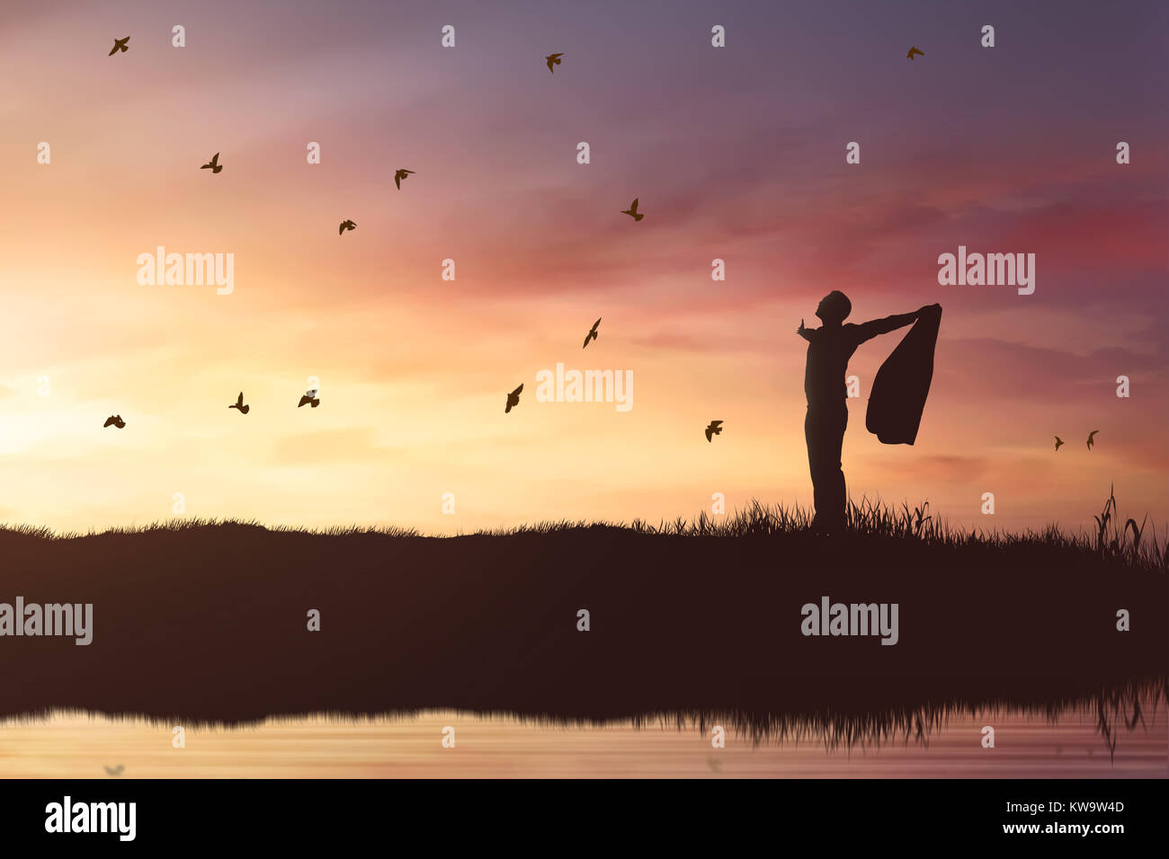 Confident birds hi-res stock photography and images - Alamy