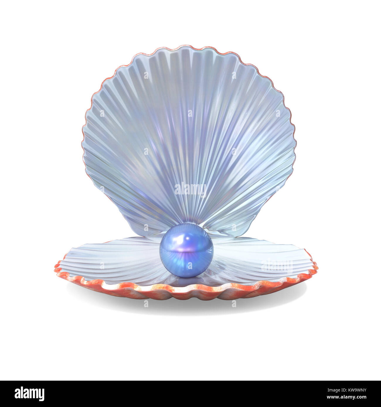 Pearl in the shell hi-res stock photography and images - Alamy