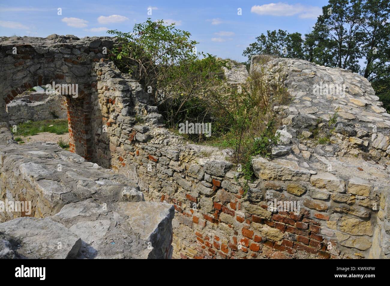 Ruins of the Gothic-Renaissance Castle of the Bishops of Cracow built ...