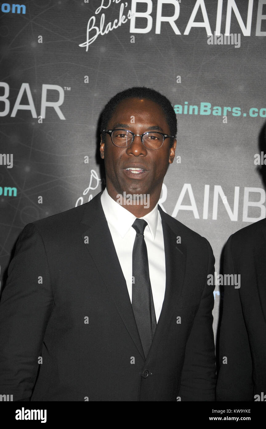 NEW YORK, NY - JANUARY 30: Isaiah Washington attends Dr. Black's Brain ...